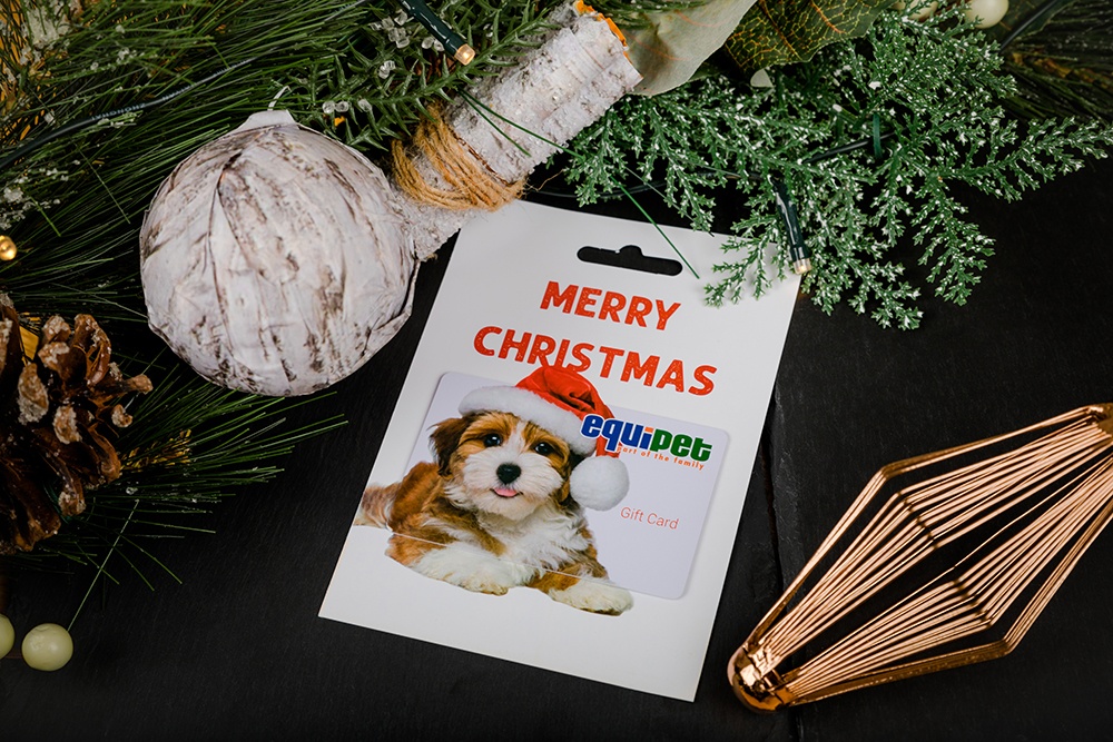 Plastic Gift Cards for Businesses & Shops - Plastic Card Experts